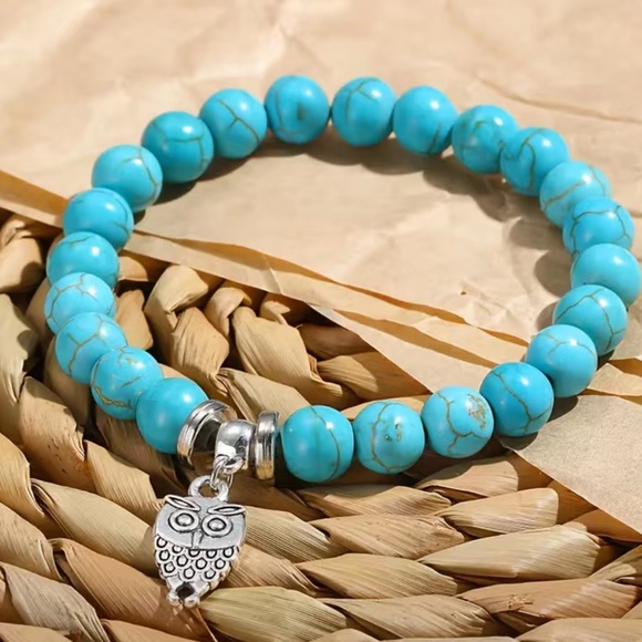 Jewelry | Owl Turquoise Bracelet Silver Plated | Poshmark